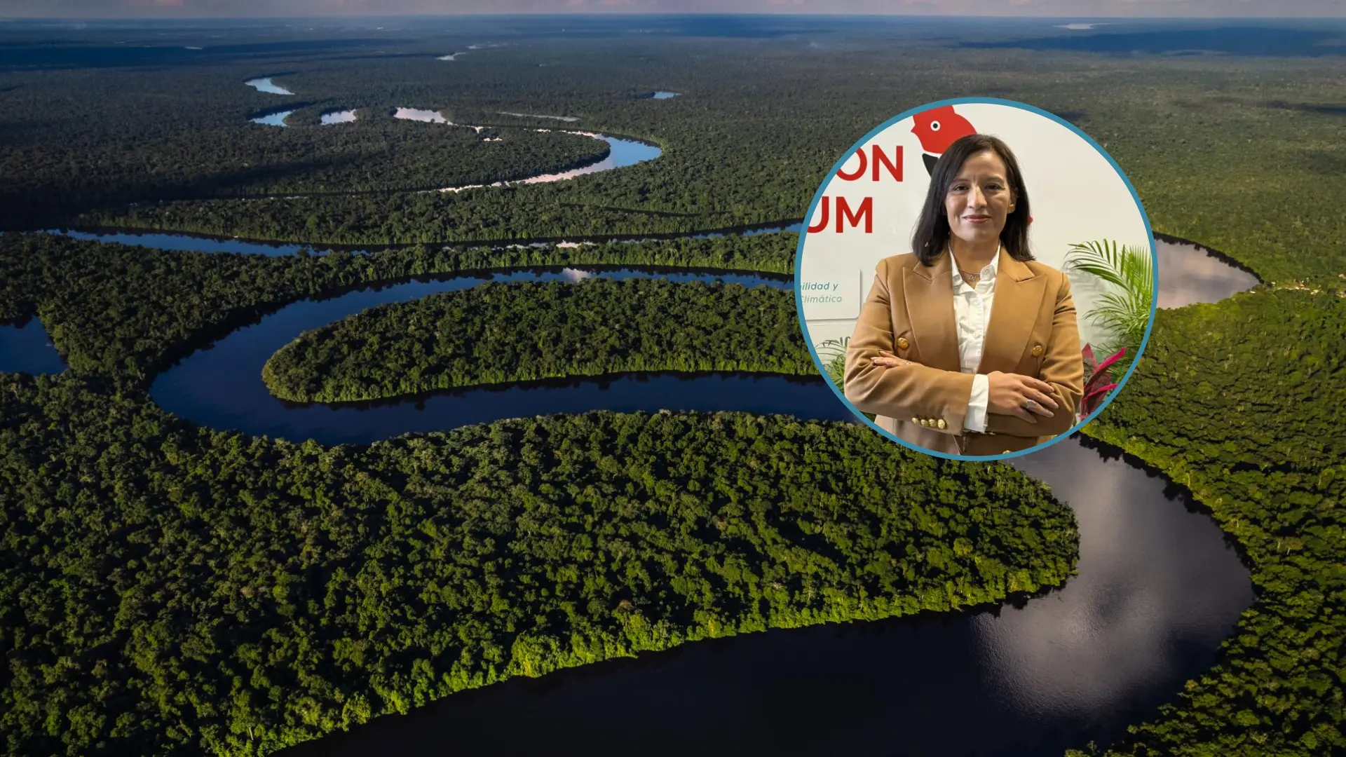 Perú, pionero global: Programa REDD+ Indígena Jurisdiccional impulsa ...